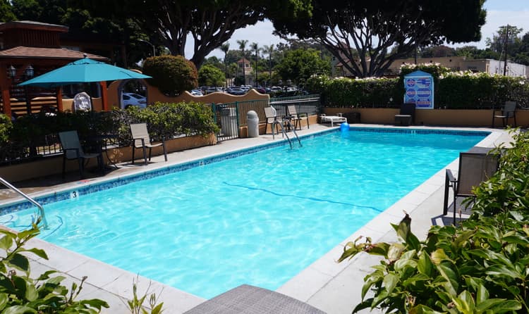 Pool Relax in the pool.